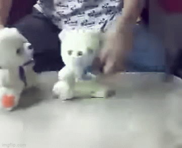 literally me playing with my toys - Imgflip