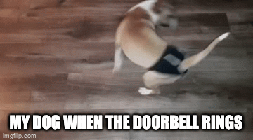 Image tagged in gifs,lol - Imgflip