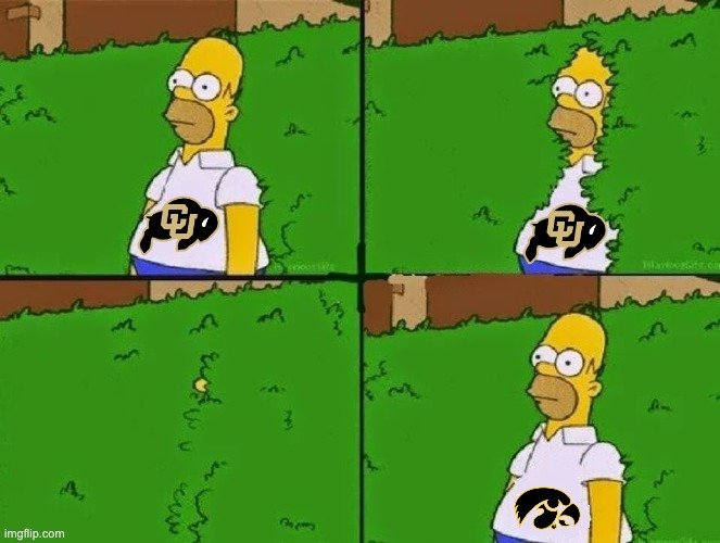 HOMER BUSH - Imgflip