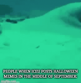 Real (L1M note: Real) (Splodge note: Real) (Enderparrot8 note: fake ...