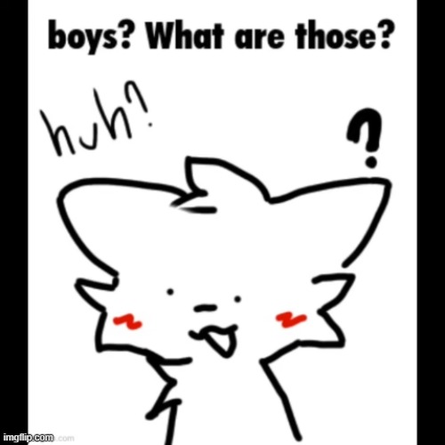 boys? what are those? - Imgflip