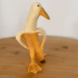 banana duck - Imgflip