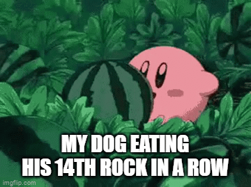 based on a true story - Imgflip