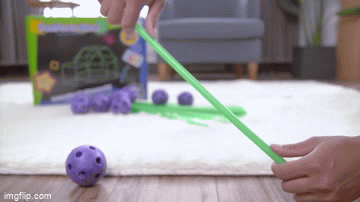 Animated GIF - Imgflip