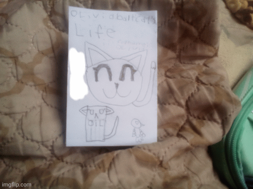 The story of Oliviaballcat's life - Imgflip