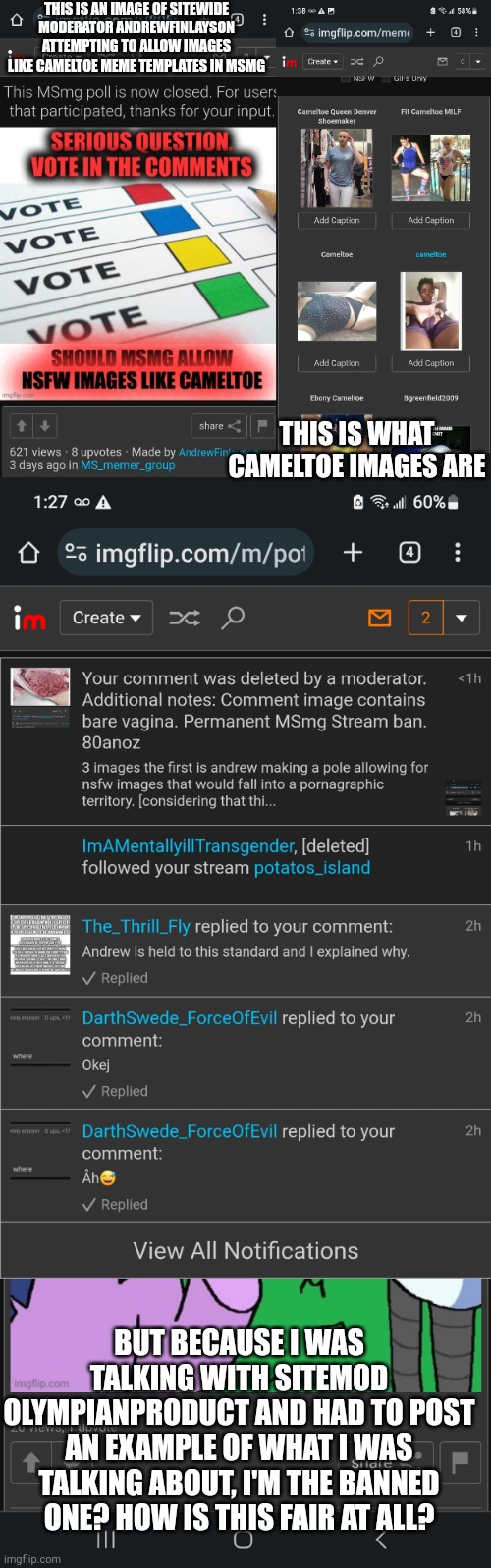sitemods don't seem so glorious anymore, do they? - Imgflip