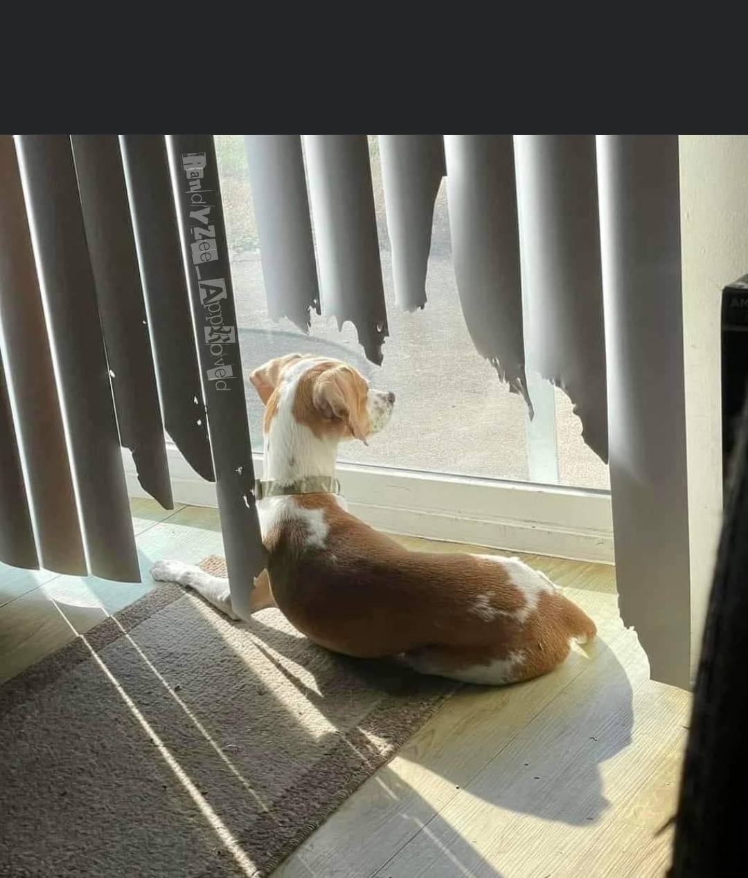 ENTITLED Blank Template - Imgflip