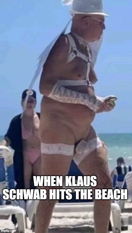 klaus at the beach - Imgflip