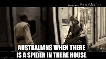 What I mean is that the spiders are huge - Imgflip