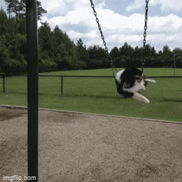 Wheeeee swing - Imgflip