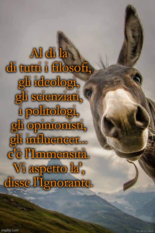 Imgflip