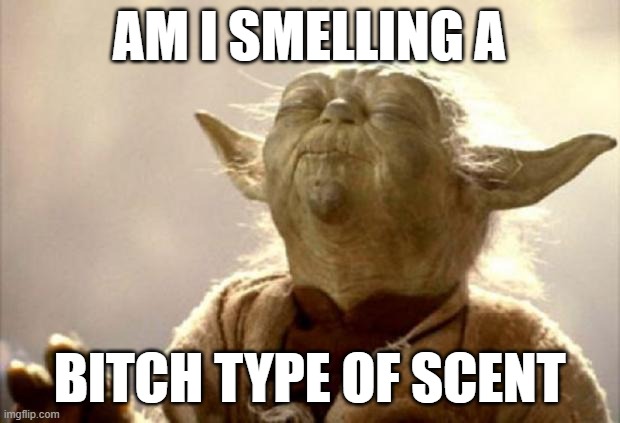 yoda smell - Imgflip