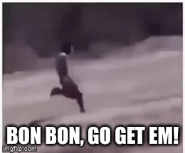 BON BON, GO GET EM! - Imgflip