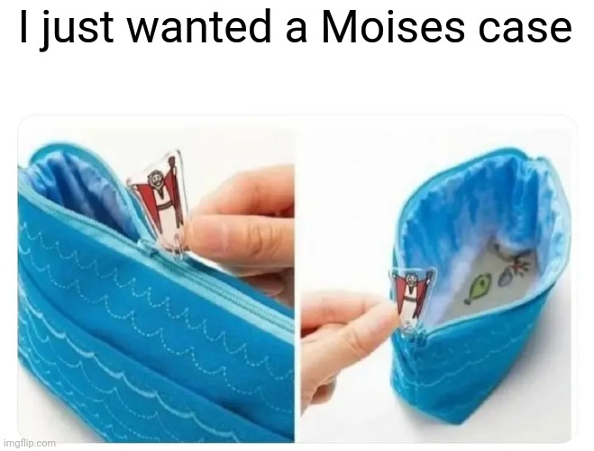 Moises case - Imgflip