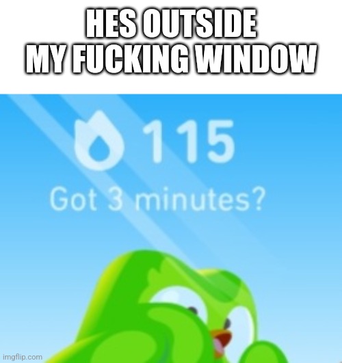 Image tagged in duolingo - Imgflip