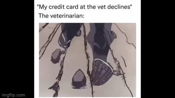 The "card declining meme" is getting a lil old now tbh - Imgflip