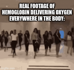 i love biology - Imgflip