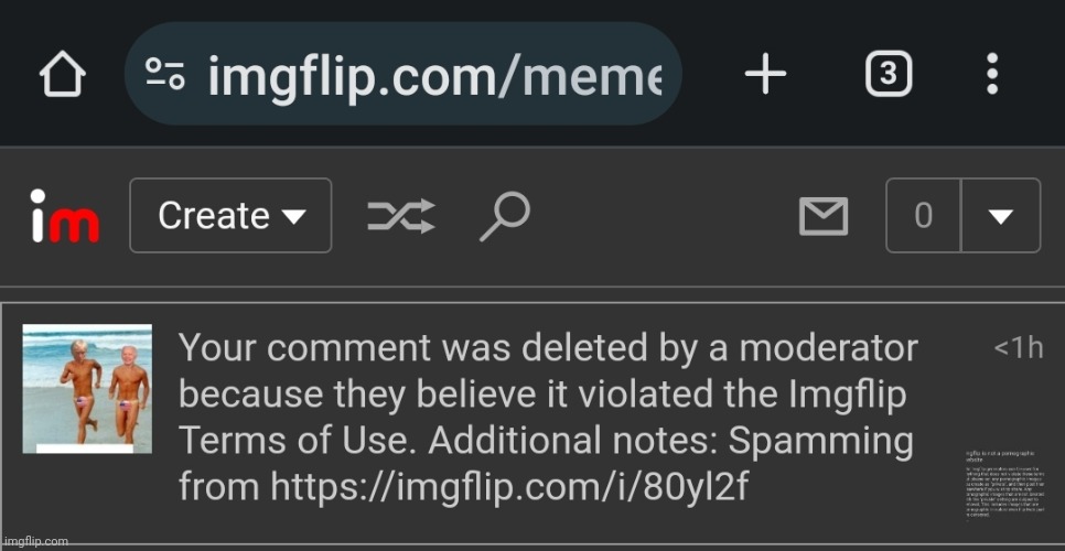 so i get comment banned for "spamming" but the post with the TOS break was fine? fucking kek ...