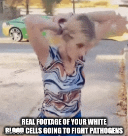 so you don't get sick! - Imgflip