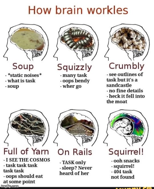 how brain owrkls - Imgflip