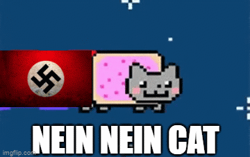 Nein Cat - Imgflip