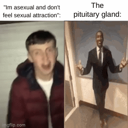 Gigachad vs virgin - Imgflip