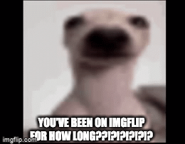 I won't tell anyone i promise - Imgflip