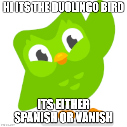 Duolingo memes - Imgflip