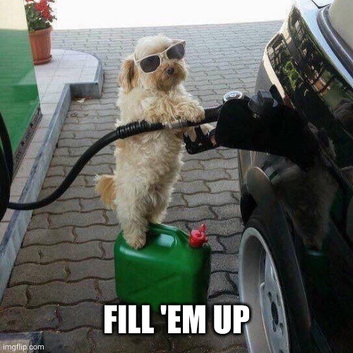 Octoberfest! - Imgflip