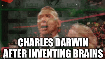 evolution = $ - Imgflip