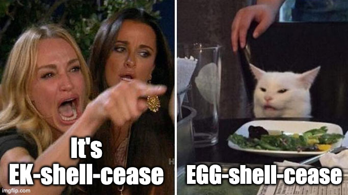 Angry lady cat - Imgflip