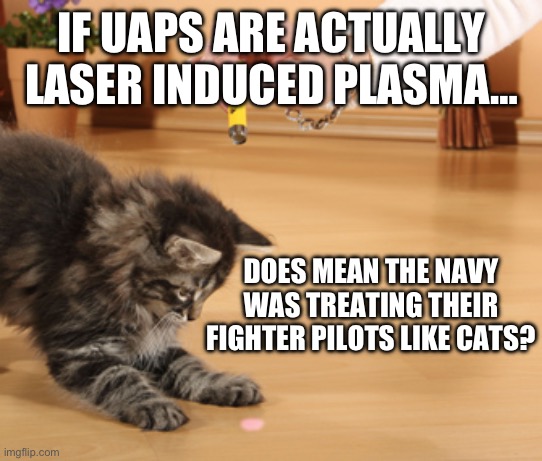 cat laser pointer - Imgflip