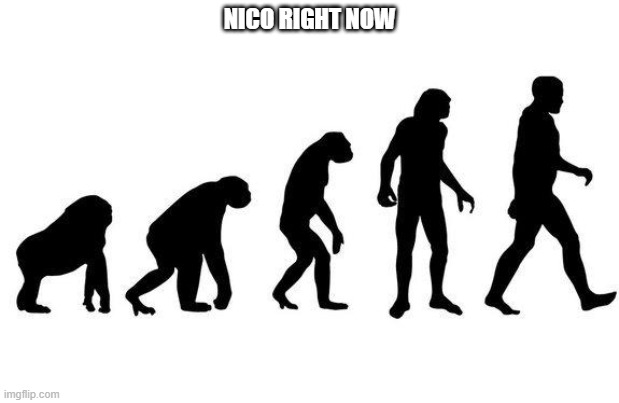 Human Evolution - Imgflip