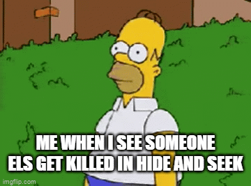 me when i see someone els get killed in hide and seek - Imgflip