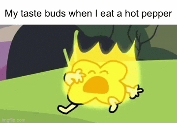 HELP IT BURNS - Imgflip