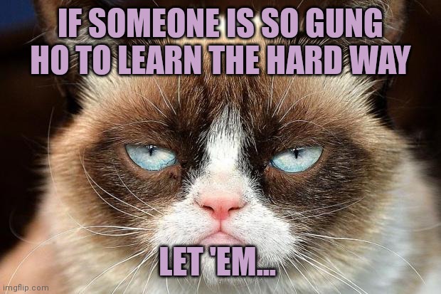 Grumpy Cat Not Amused Meme - Imgflip