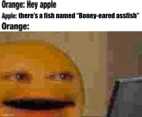 Hey apple - Imgflip