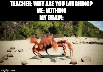 Always makes me laugh - Imgflip