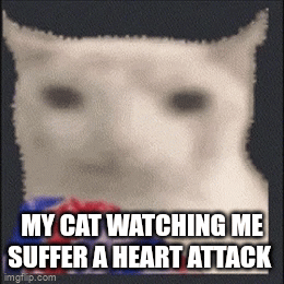 Cat eating chips - Imgflip