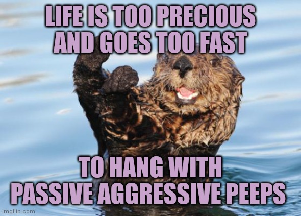 otter celebration - Imgflip