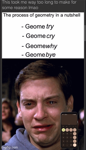 Repost for the funs - Imgflip