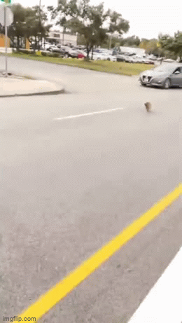 Sir I said pull over - Imgflip