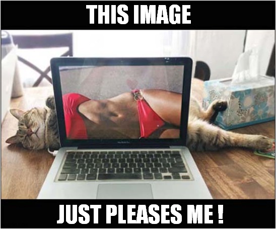 Perfect Moment Captured ! - Imgflip