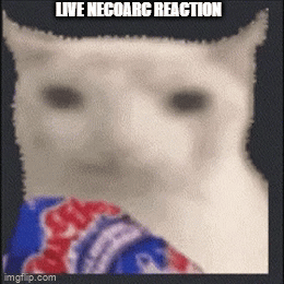 Cat eating chips - Imgflip