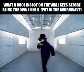 *no insect was ever harmed* - Imgflip