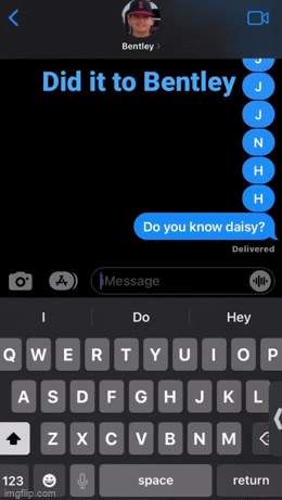 Animated GIF - Imgflip