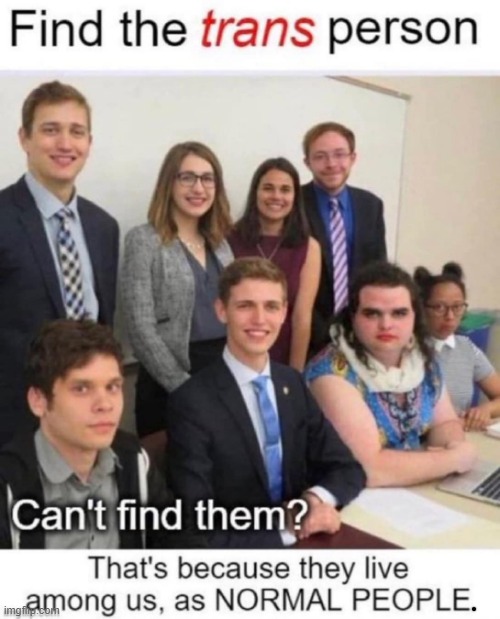 Find the Trans ! - Imgflip