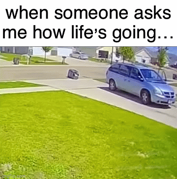 just a little hectic - Imgflip