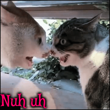 Nuh Uh - Imgflip