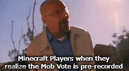 "Stop the Mob Vote" People - Imgflip